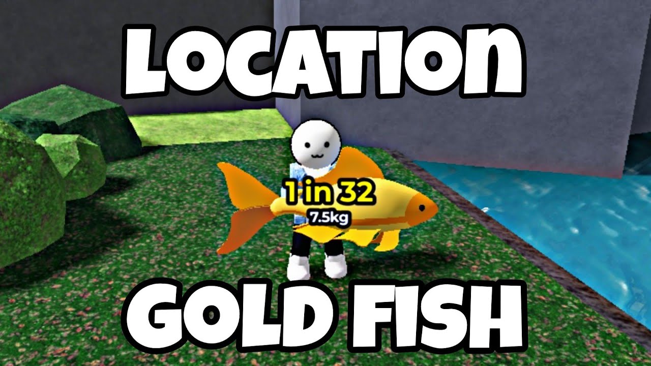 [LOCATION] How to Find Gold Fish in Go Fishing Roblox - YouTube