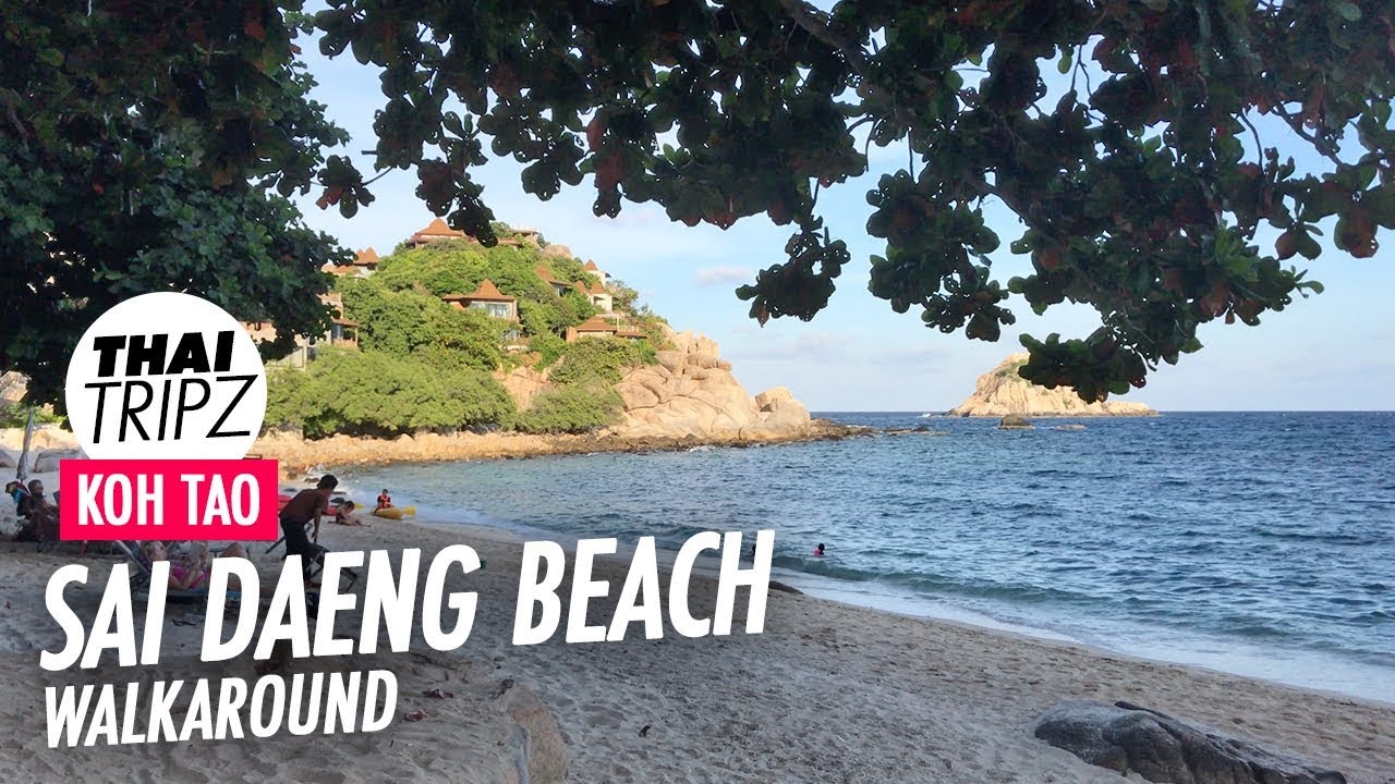 Sai Daeng Beach - Koh Tao, Thailand - YouTube