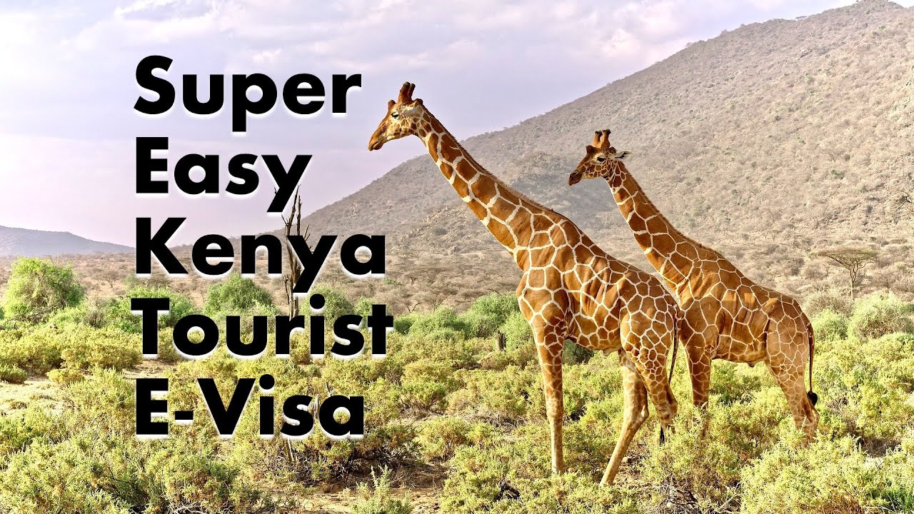 How to complete the Kenya Tourist E-Visa application - YouTube