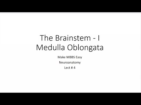 The BrainStem I Medulla Oblongata Lec 1 - YouTube