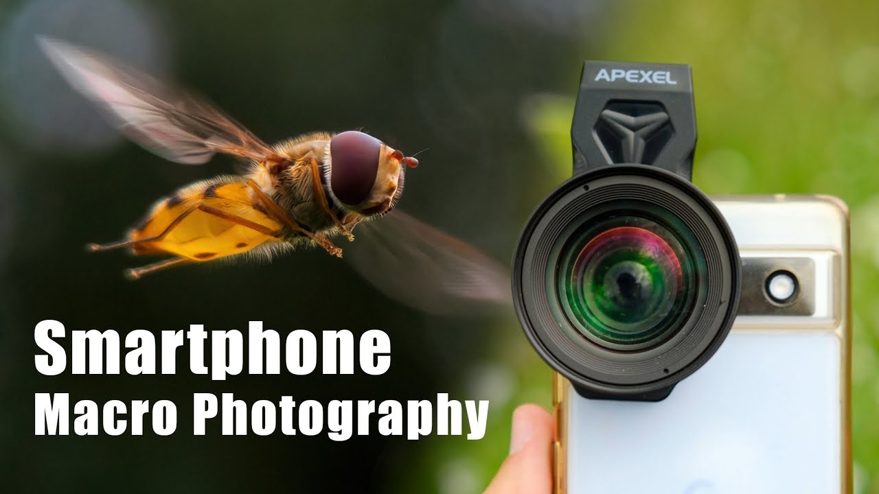Testing the Limits of Smarphone Macro Photography - Apexel HB100 ultra ...