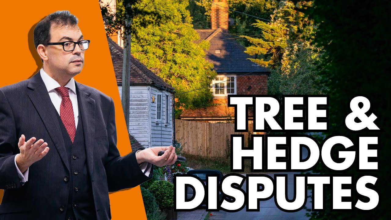Neighbour disputes: trees and hedges - YouTube