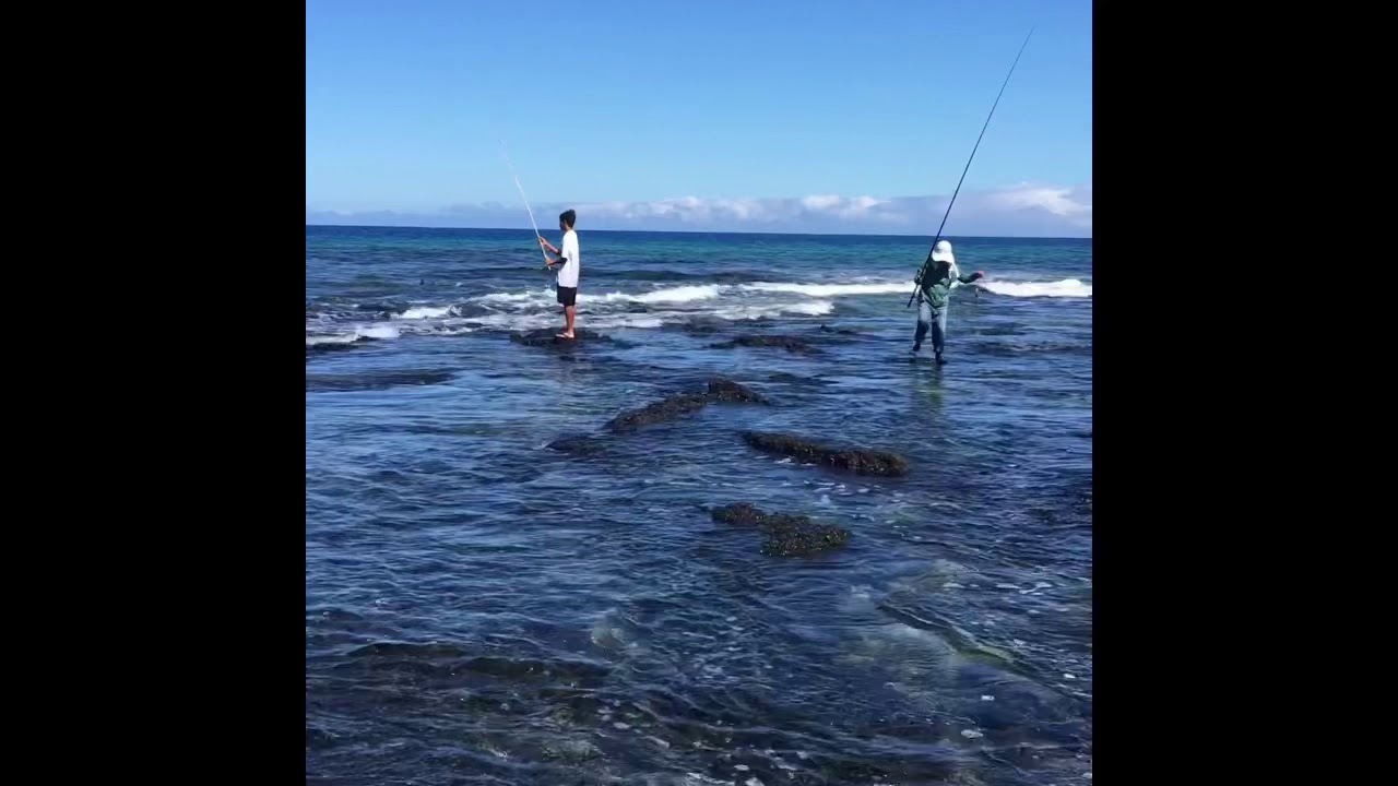 FISHING AT PUAKO, ON THE BIG ISAND OF HAWAII - YouTube