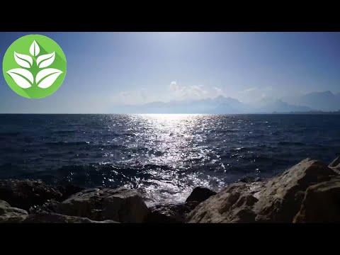 ses nın-nin bir sakin deniz. Deniz dalgalar dövmek karşısında  kayalar.