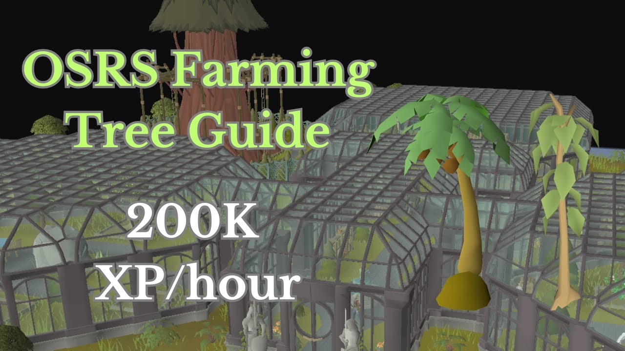 OSRS Farming Guide, Tree Run 200K XP/hr - YouTube