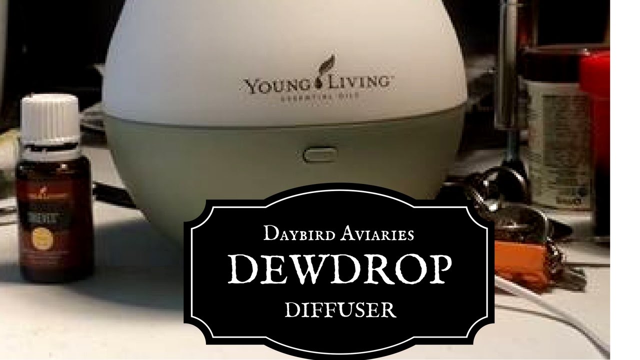 UNBOXING THE YOUNG LIVING DEWDROP DIFFUSER - This thing is awesome. - YouTube