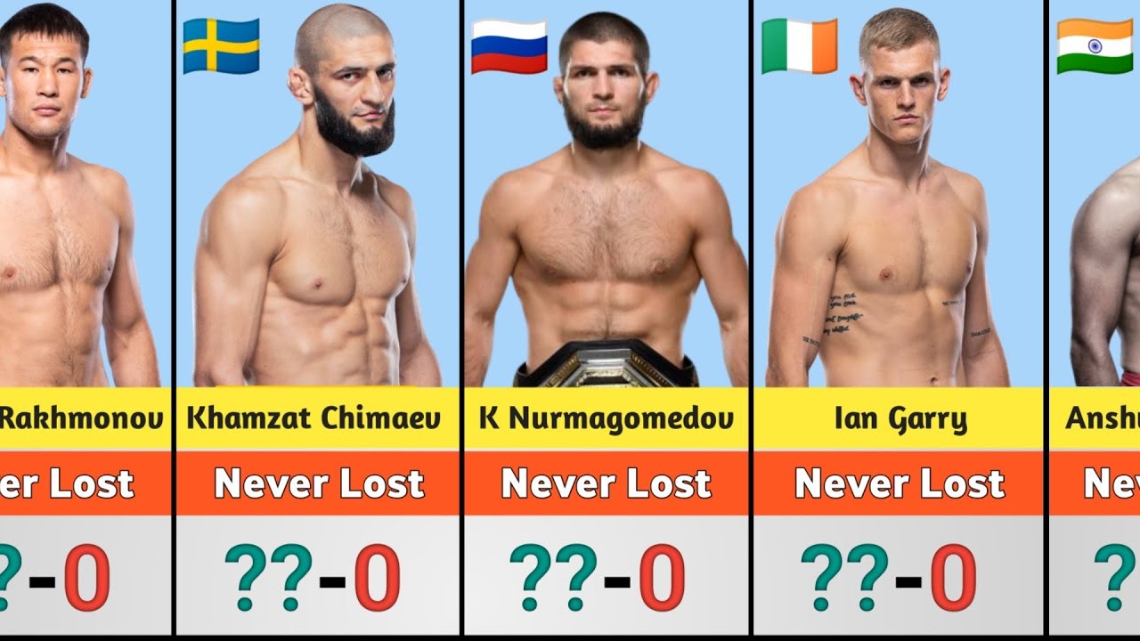 Undefeated UFC Fighters 2023 | Khabib, Khamzat, Umar, Nurullo Etc ...