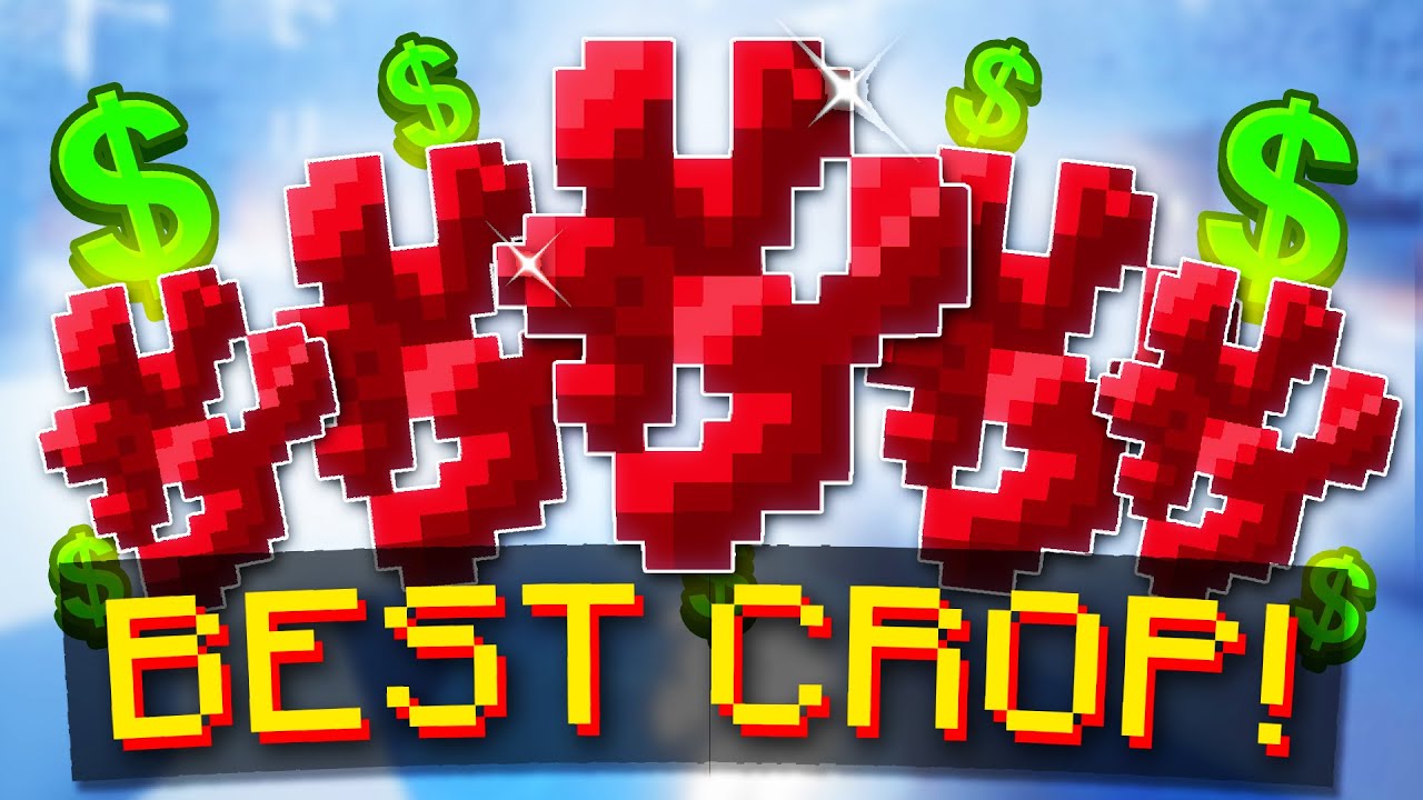 THE BEST CROP FOR MONEY IN HYPIXEL SKYBLOCK!? - YouTube