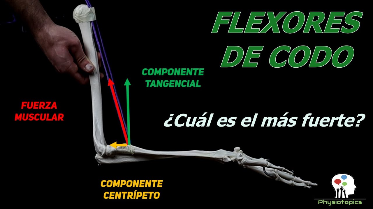 En La Mayoría De Los Casos Evento Cambios De Biomecanica Del Codo