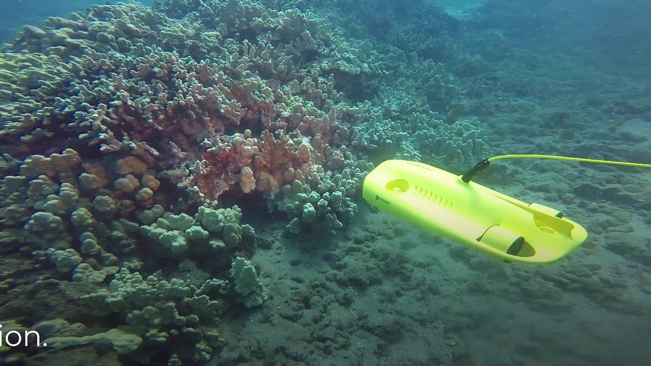 CHASING GLADIUS MINI UNDERWATER DRONE | GLADIUS MINI Explained - YouTube