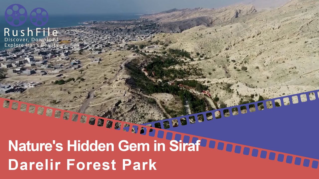 🌿 Nature's Hidden Gem in Siraf | Darelir Forest Park - YouTube