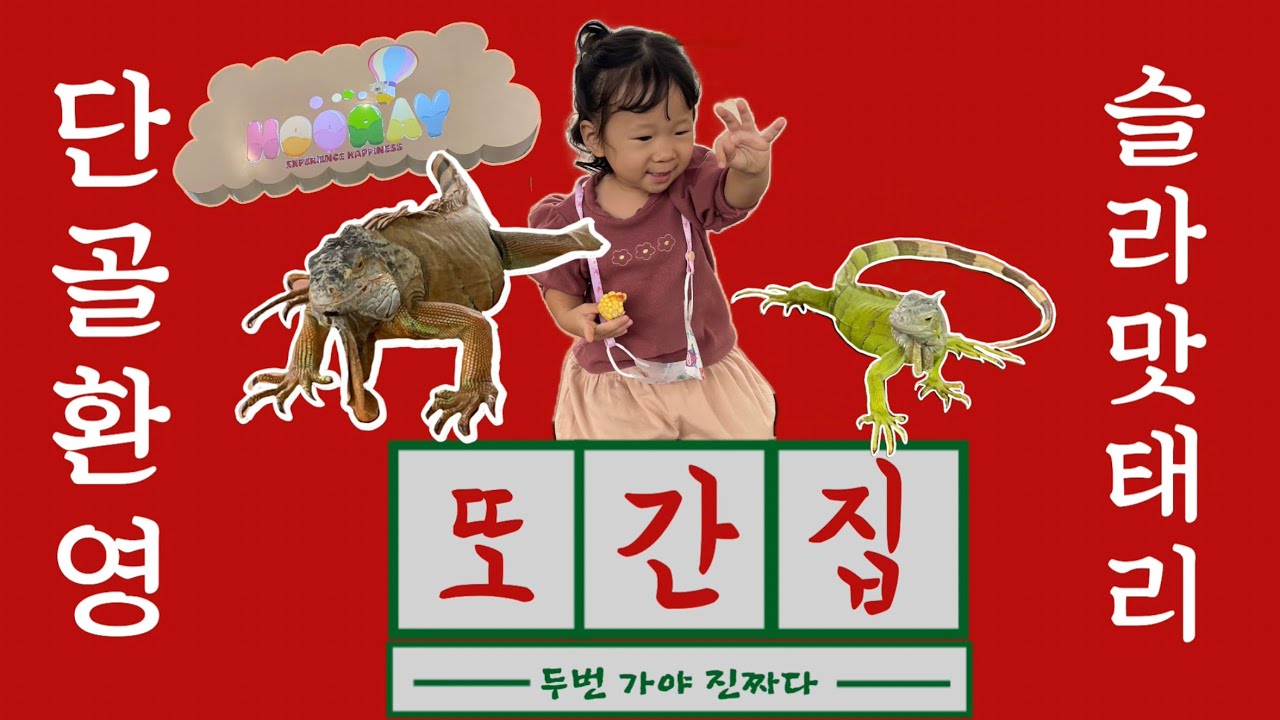 반둥 태리의 또또또간집은 어디~? /몰 안에 mini zoo / PVJ MALL/Sushi Hiro / Bakerzin/ 키즈 ...