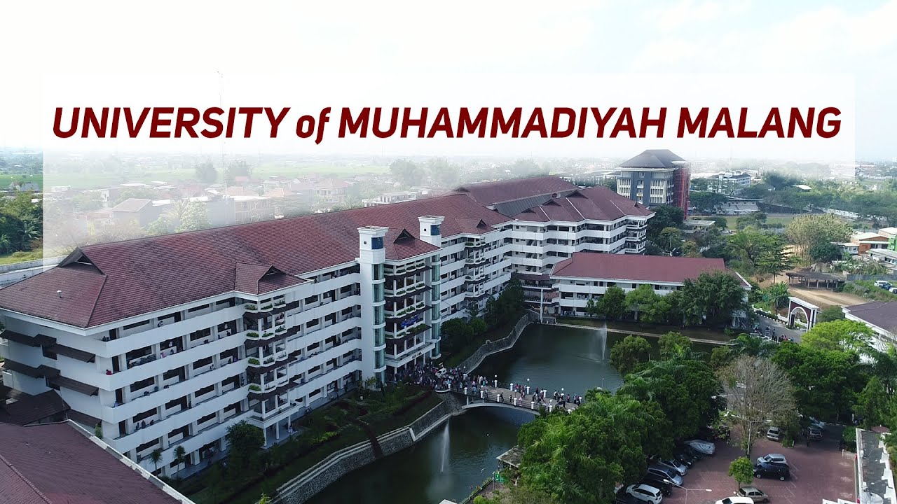 What do we LOVE about UMM? | Company Profile 2021 English Version ...