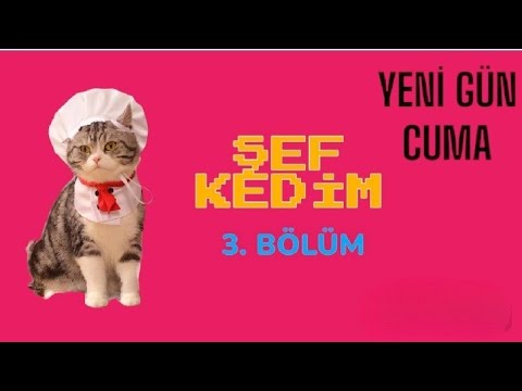ŞEF KEDİM - 3. BÖLÜM - YouTube