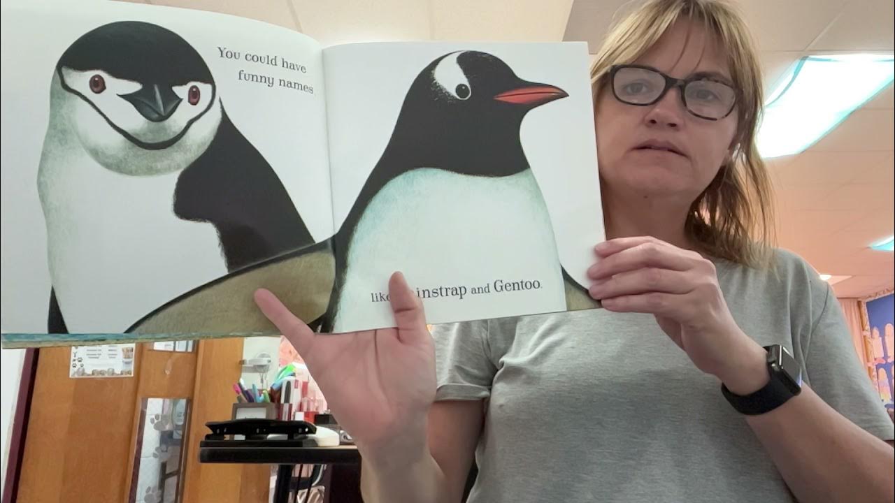 If You Were a Penguin - YouTube