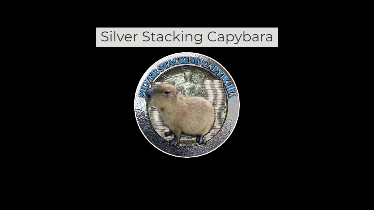 Capybara video intro - YouTube