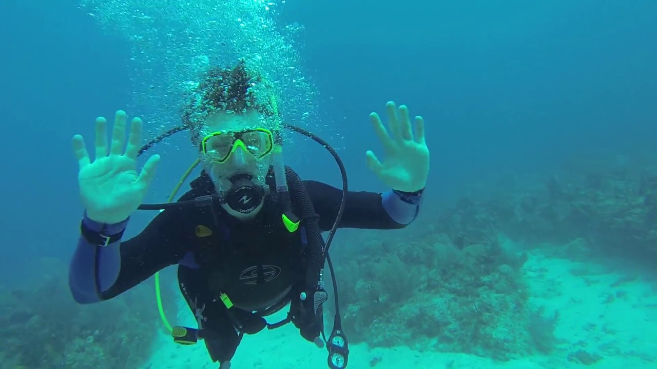 Scuba Dive BSA Sea Base 2015 - YouTube