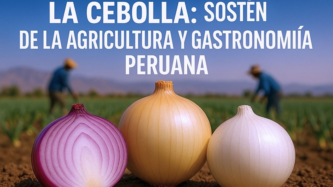 Descubre el secreto de la CEBOLLA peruana - YouTube