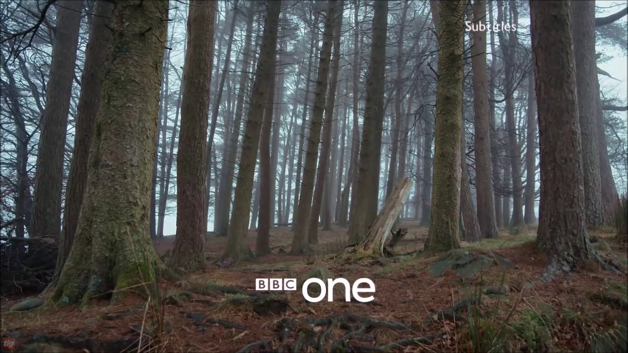 BBC One Forest iden - YouTube