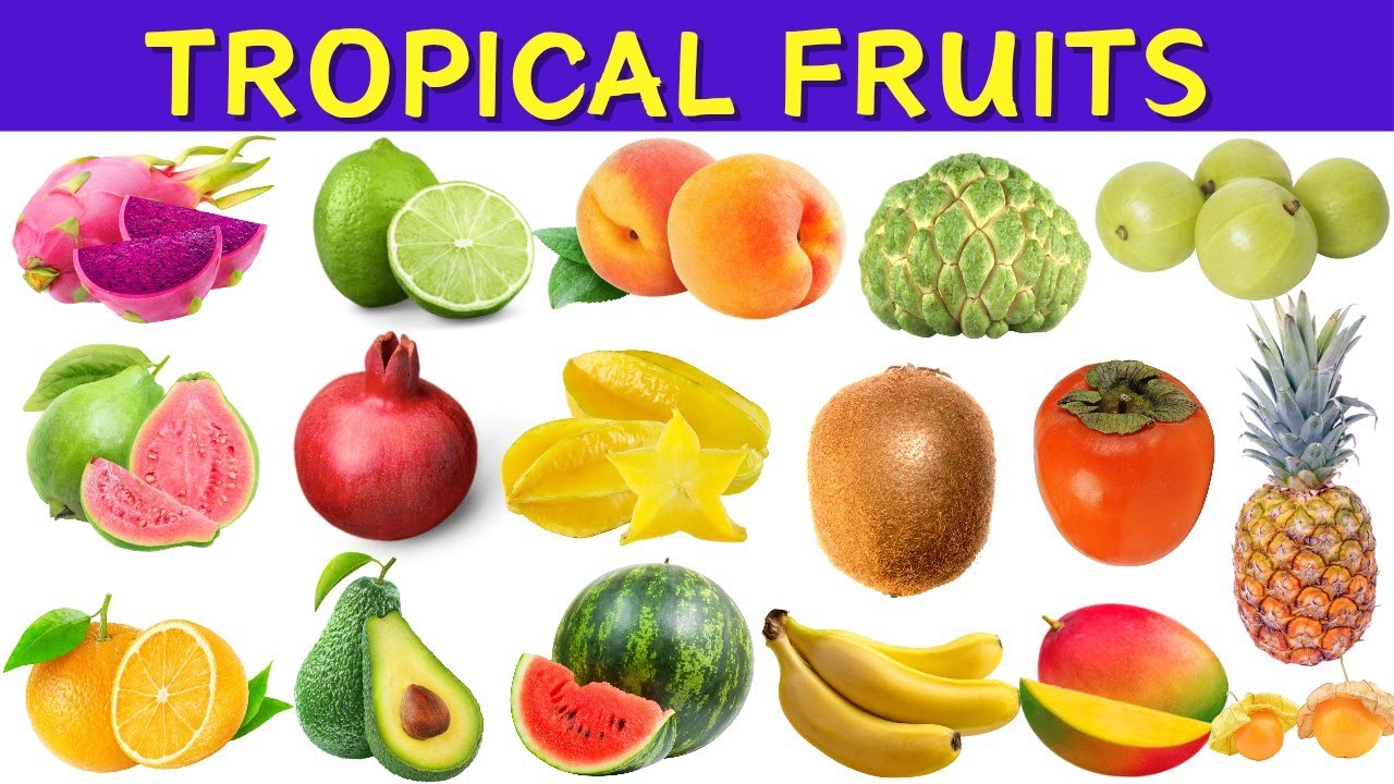 Tropical Fruits | Explore 100 Exotic Tropical Fruits | Tropical Fruits ...
