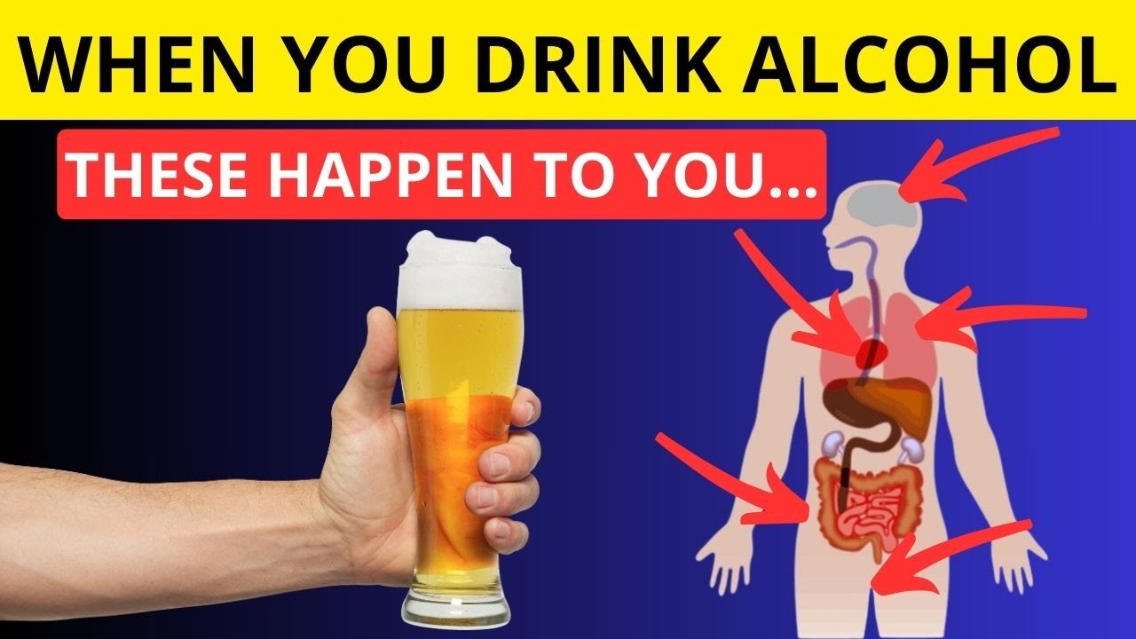 What Happens to Your Body When You Drink Alcohol - YouTube
