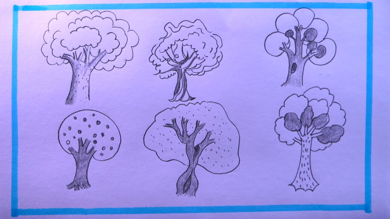 How To Draw TREES Easy Step/TREES Drawing - YouTube