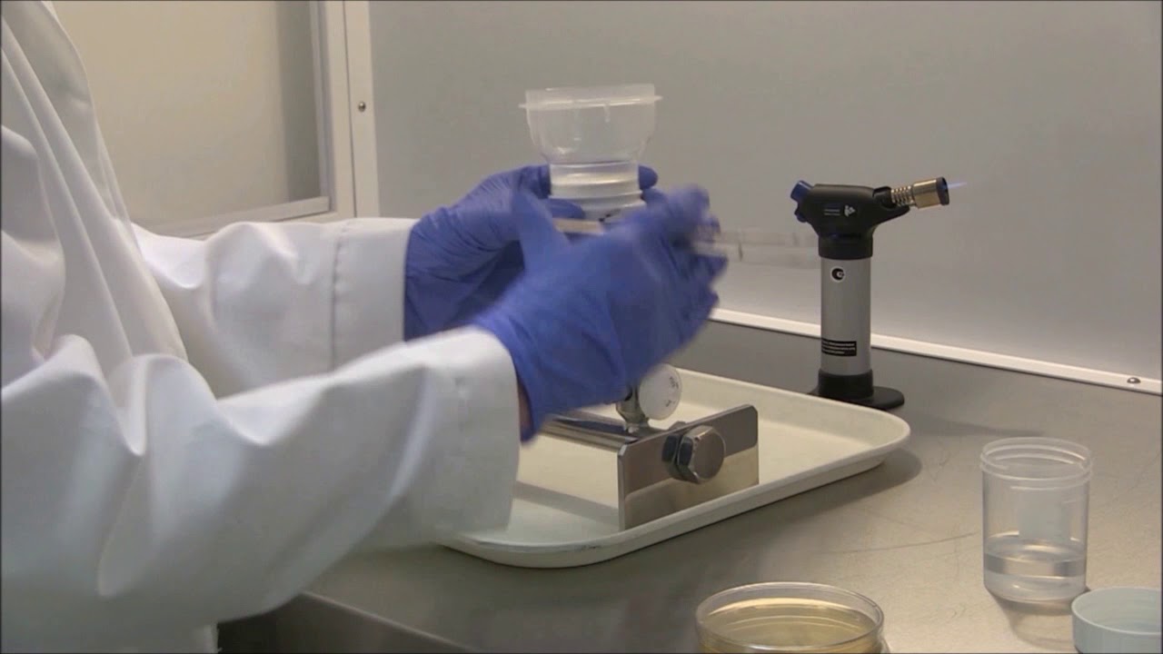 An overview of FMP - YouTube