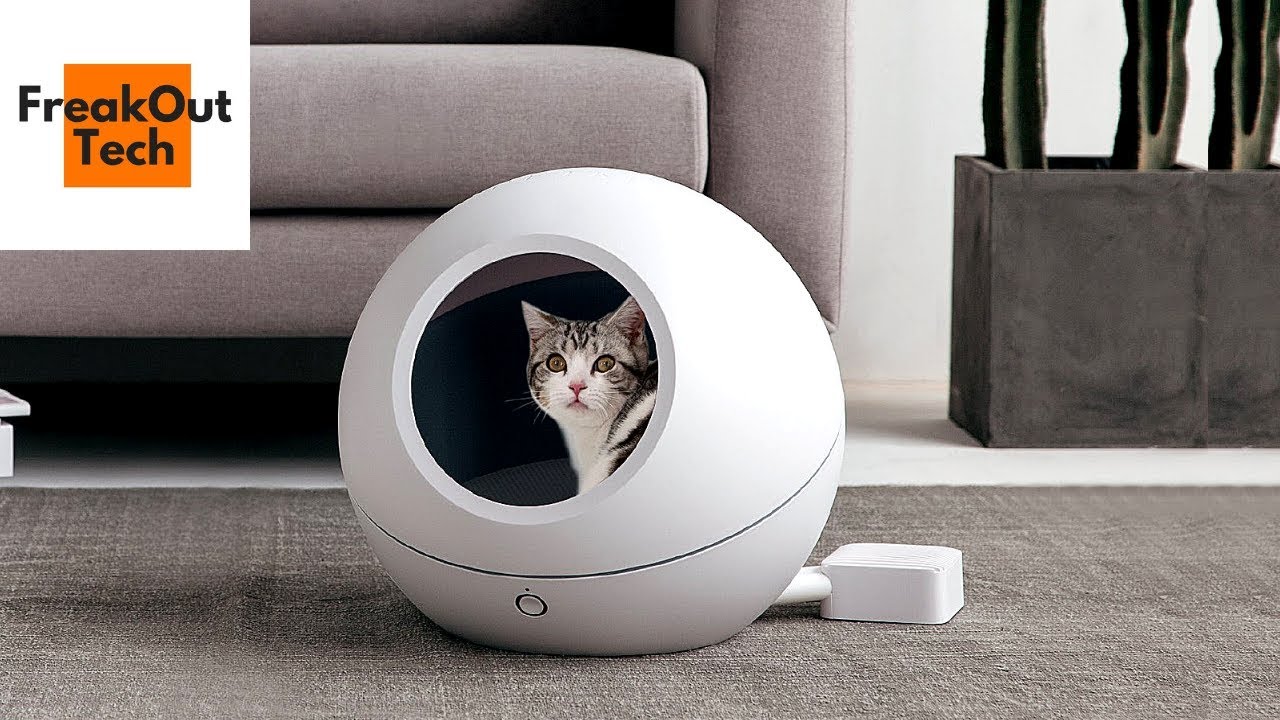 5 Incredible Inventions Your Cat Wants - YouTube