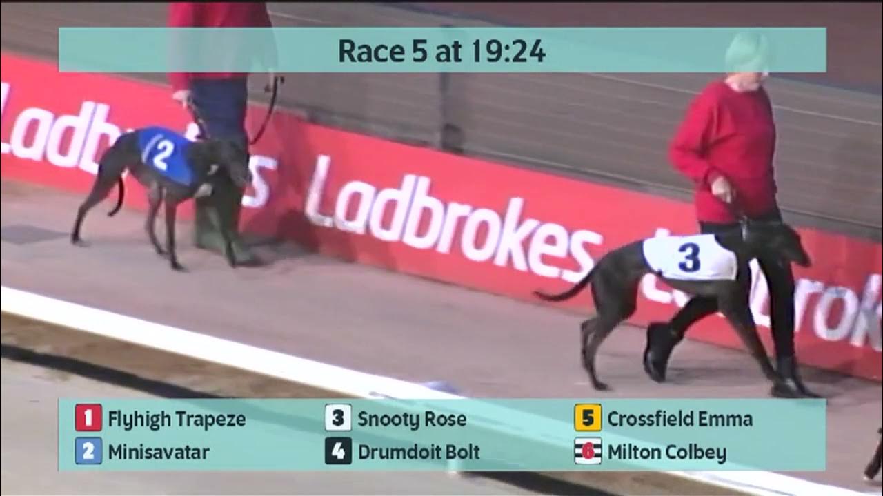 Monmore Greyhounds Races on 25th September 2021 - YouTube Monmore Greyhounds Races on 25th September 2021 - YouTube
