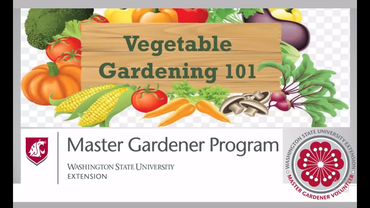 Vegetable Gardening 101 Mar 26 2024 - YouTube