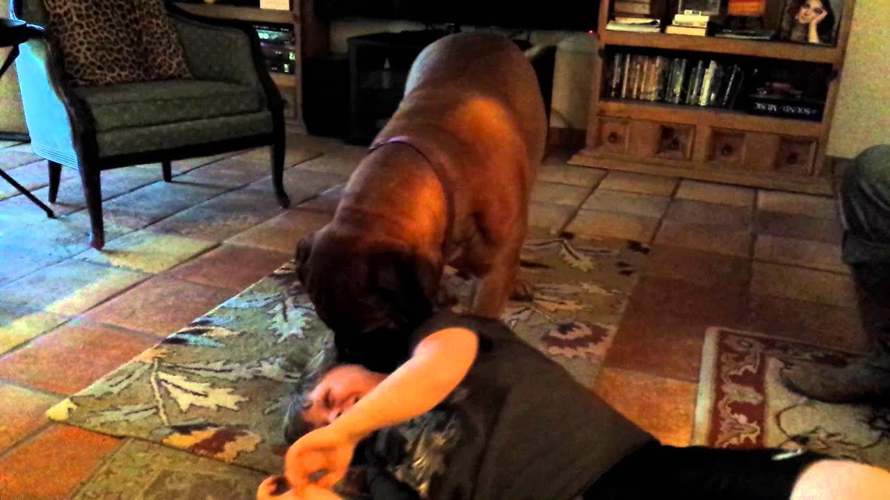 Slobber Attack! - YouTube