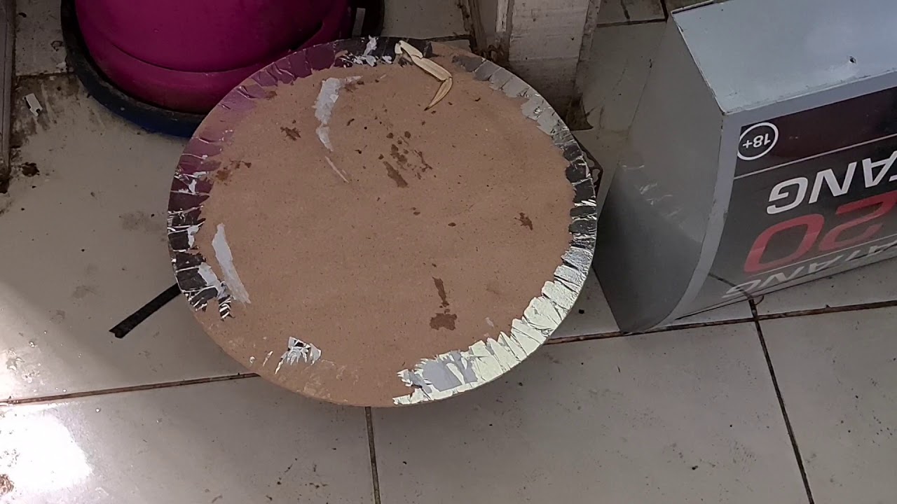 how to catch small beautiful water monitor lizard using mouse trap ...