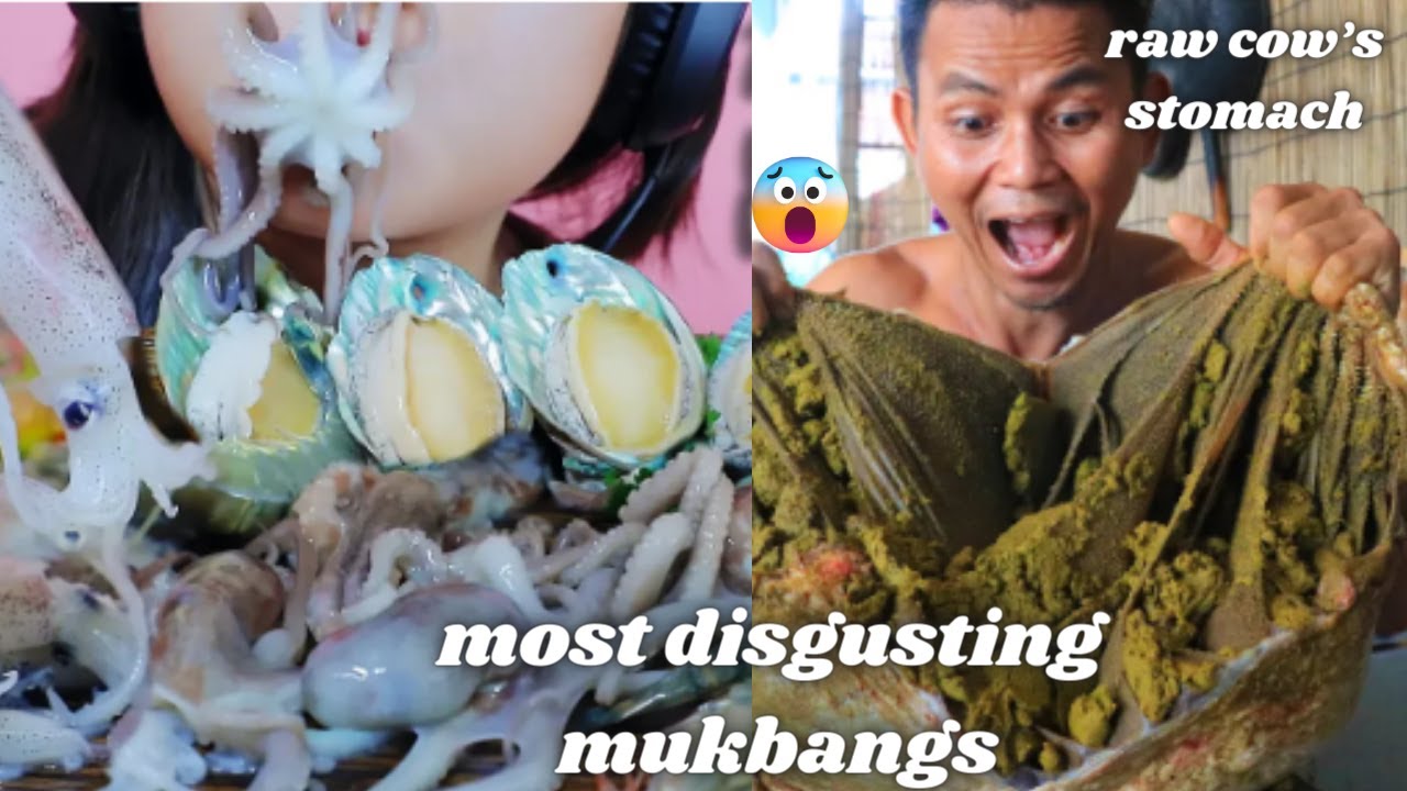 MOST DISGUSTING MUKBANGS I'VE EVER SEEN 🐬🐙🦀🦐🦑🐠 - YouTube