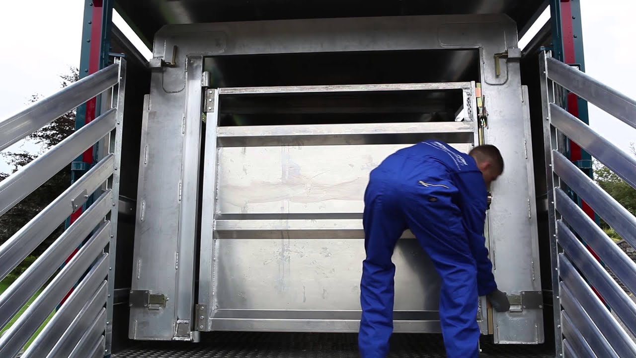 The 'Professional' Single Deck Livestock Transporter - MOVING CATTLE ...