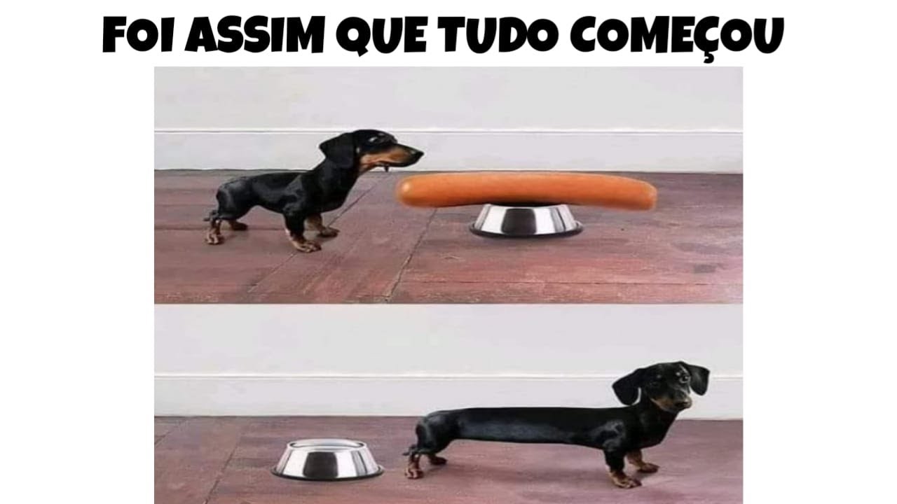 MELHORES MEMES EM IMAGENS - FOI ASSIM QUE TUDO COMEÇOU - YouTube