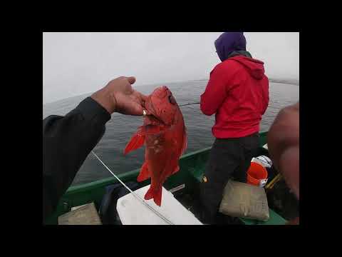 Rock Cod Santa Cruz skiff - YouTube