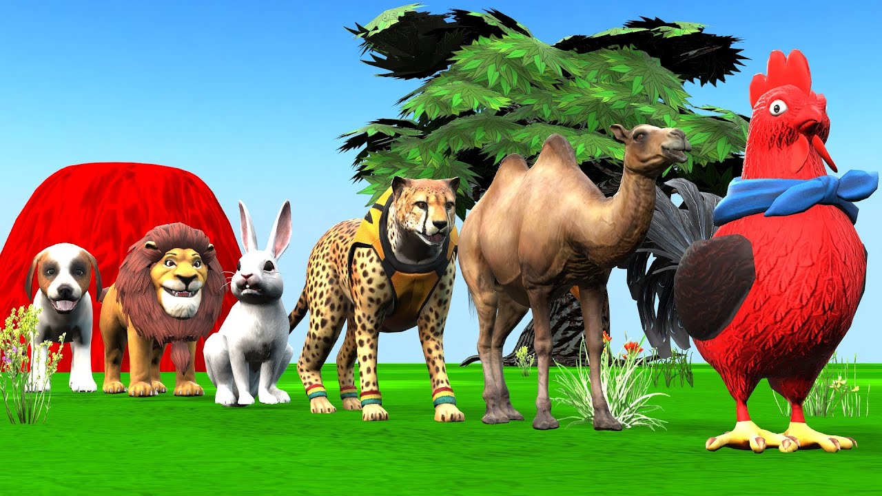 Dog, Lion, Buffalo, Monkey, Rabit, Mouse, Turtle, Chicken, Pig Wild ...