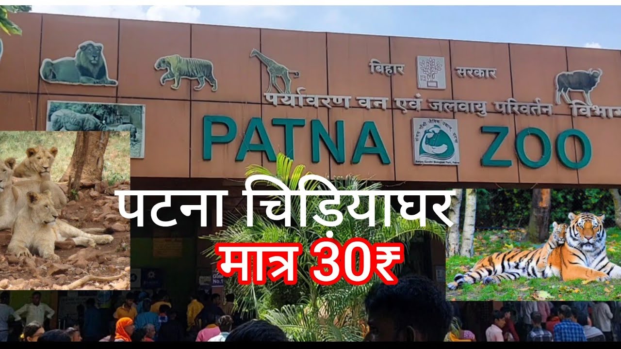 Patna Zoo /पटना चिड़ियाघर में सभी 🐅🐆जानवर का मजे लीजिए |Patna Animal ...