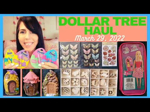 DOLLAR TREE HAUL MARCH 29 2022 TODAY - YouTube