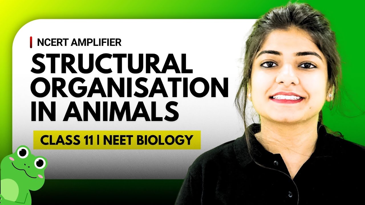 🧬 Structural Organisation In Animals In One Shot | NCERT Amplifier | NEET Biology | Class 11 ...