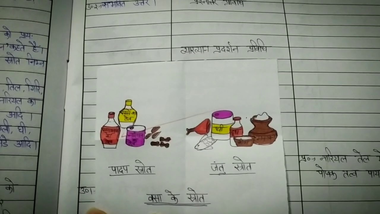 Lesson plan-15 (Fats) - YouTube