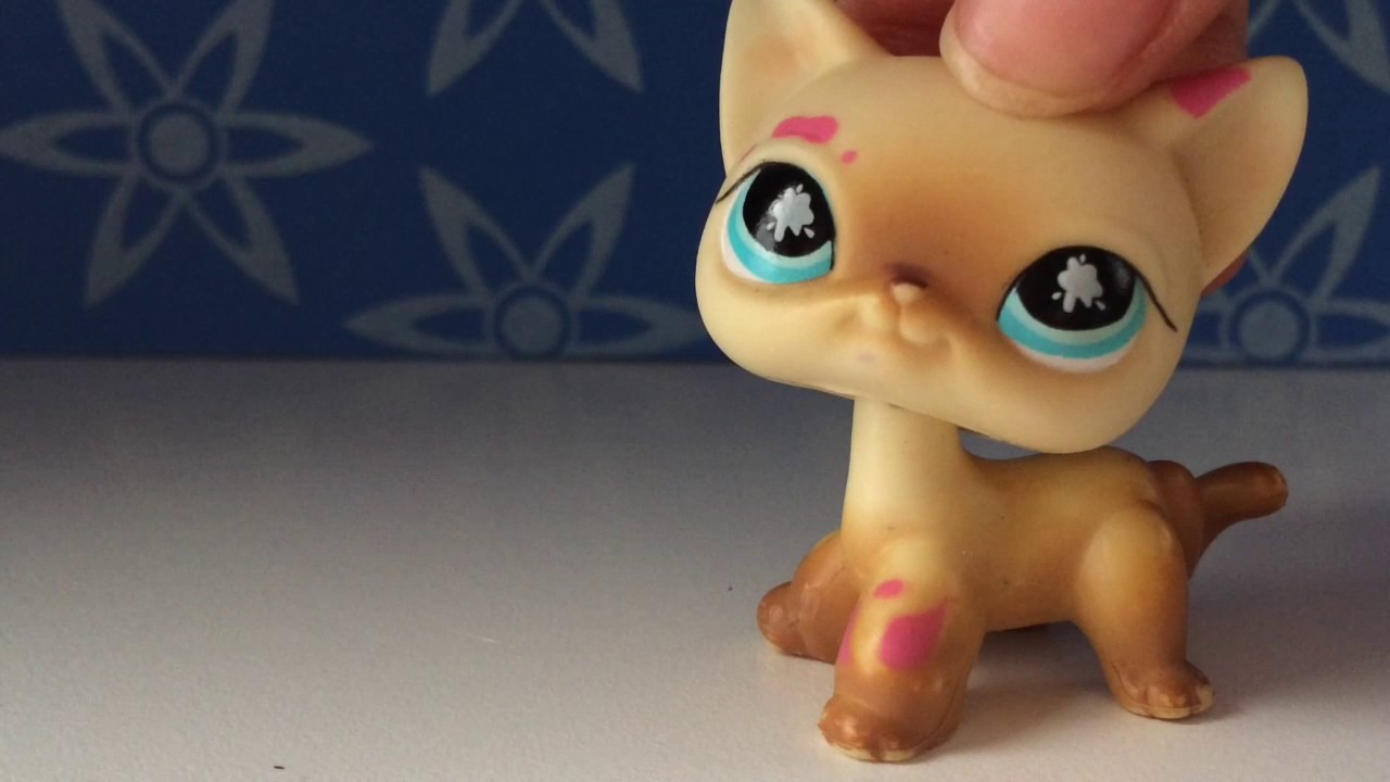 LPS random video #1 - YouTube