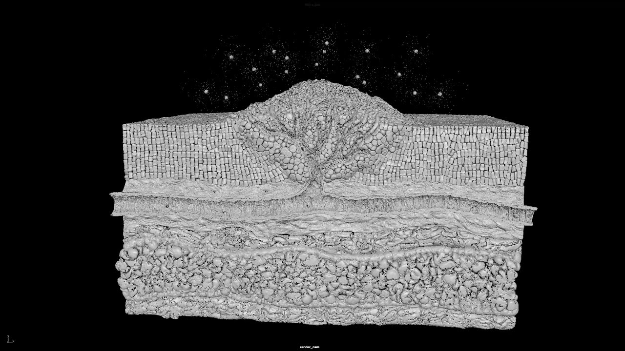 Tumor microenvironment 3D model - YouTube