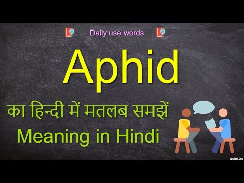 Aphid meaning in Hindi || How to pronounce aphid || Aphid meaning - YouTube