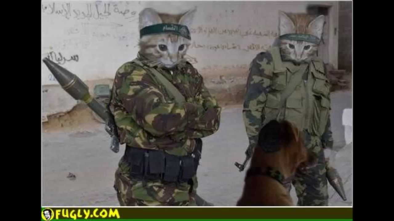 Interview with Eamonn Wright - YouTube