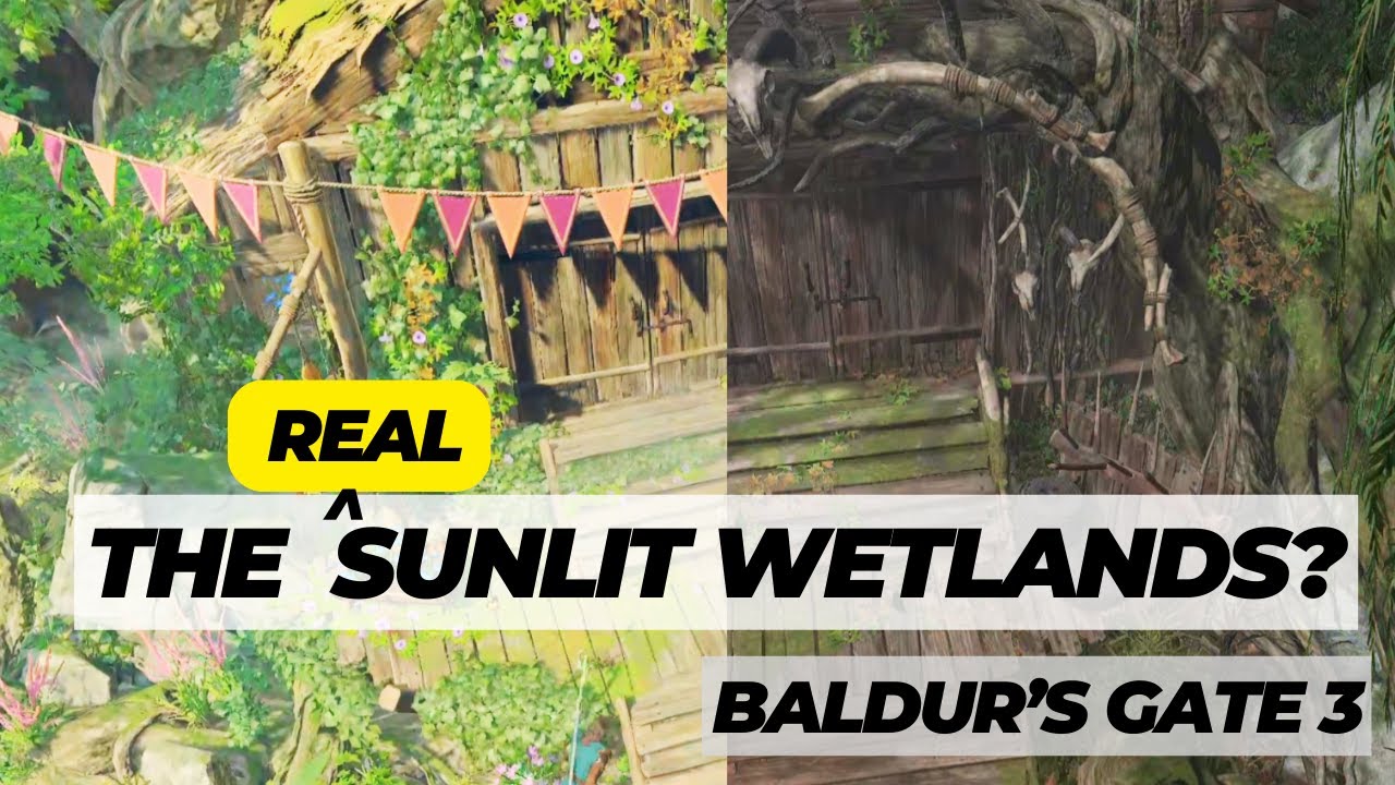 What happens if you Pass/Fail the check in Sunlit Wetlands? | Baldur's ...