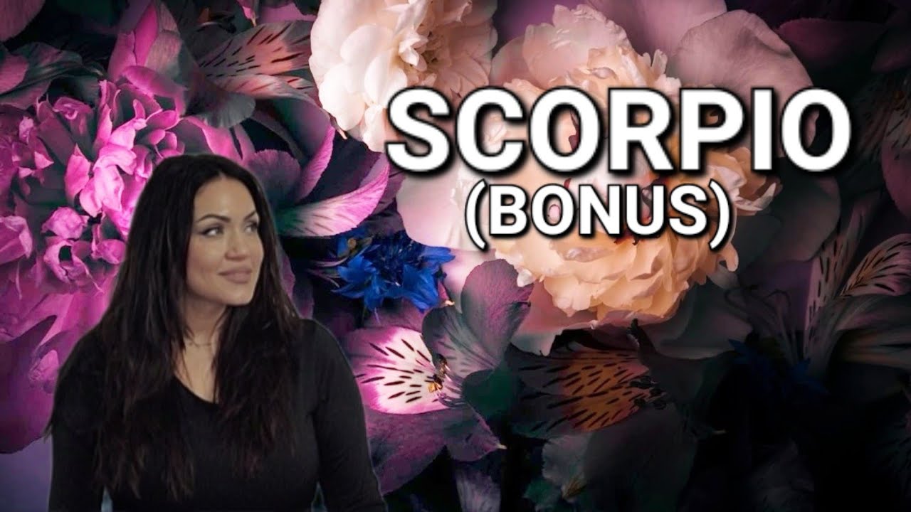 SCORPIO (or): BONUS: "Can I Please Explain?" ️ What They Didn't See ...