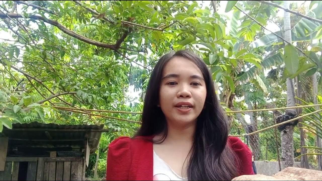 Jump Search Algorithm Project Youtube