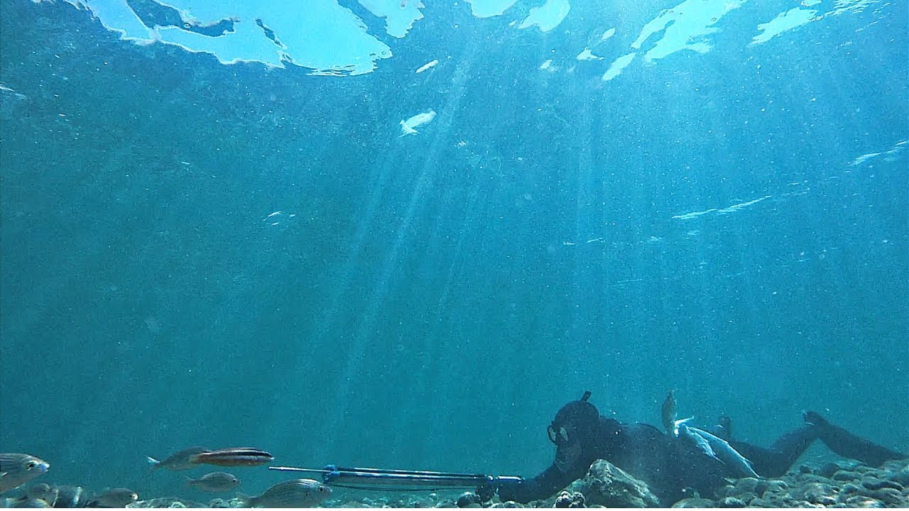 ΤΑ ΨΑΡΙΑ🐟 ΗΤΑΝ ΕΚΕΙ ΠΟΥ ΠΑΤΟΥΣΑ ΣΤΑ ΓΟΝΑΤΑ!!! / FISH WERE THERE YOU CAN ...
