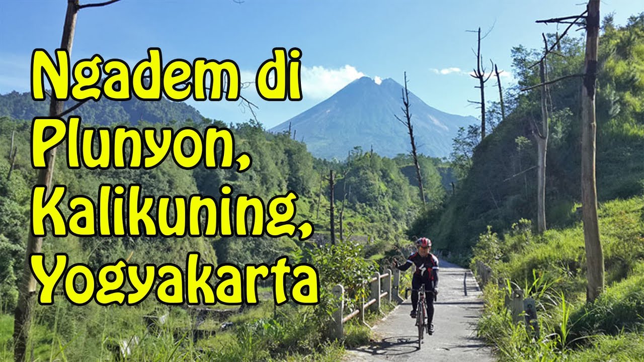 Yuk, Ngadem di Plunyon Kalikuning Yogyakarta - YouTube